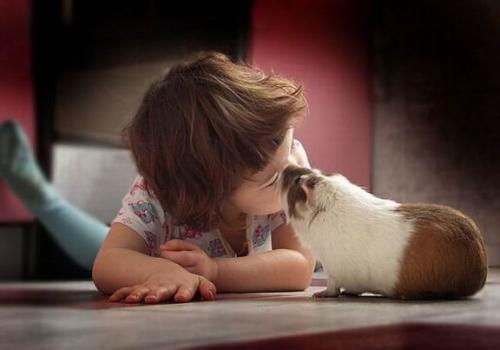 Imagenes tiernas de niños con animales - Imagui