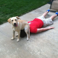 Mejores fotografías de perros traviesos y sus travesuras - Canal Mascotas